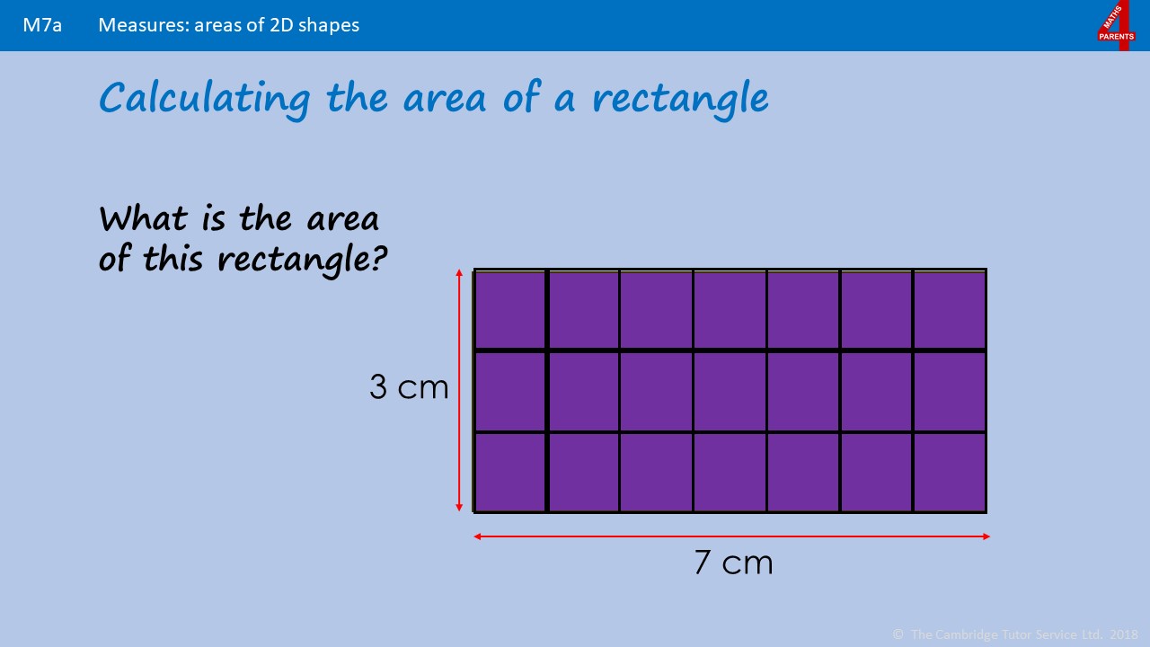 Area And Perimeter